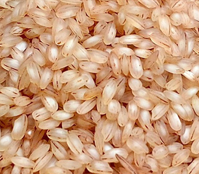 Aishwarya Overseas Exporters